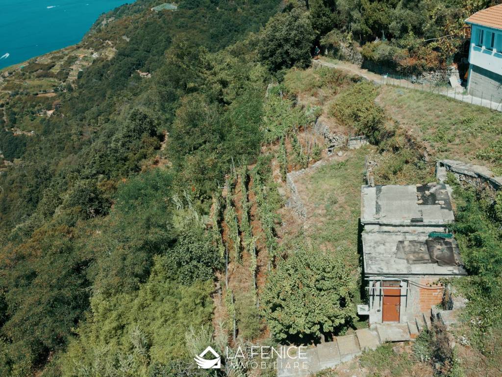 Vendita Rustico in vicolo Codemin La Spezia. Da ristrutturare, 41 m² ...