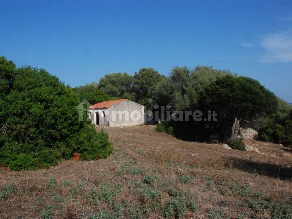 Vendita Rustico in Bassacutena Tempio Pausania. Da ristrutturare, posto auto, 350 m², rif. 104928907