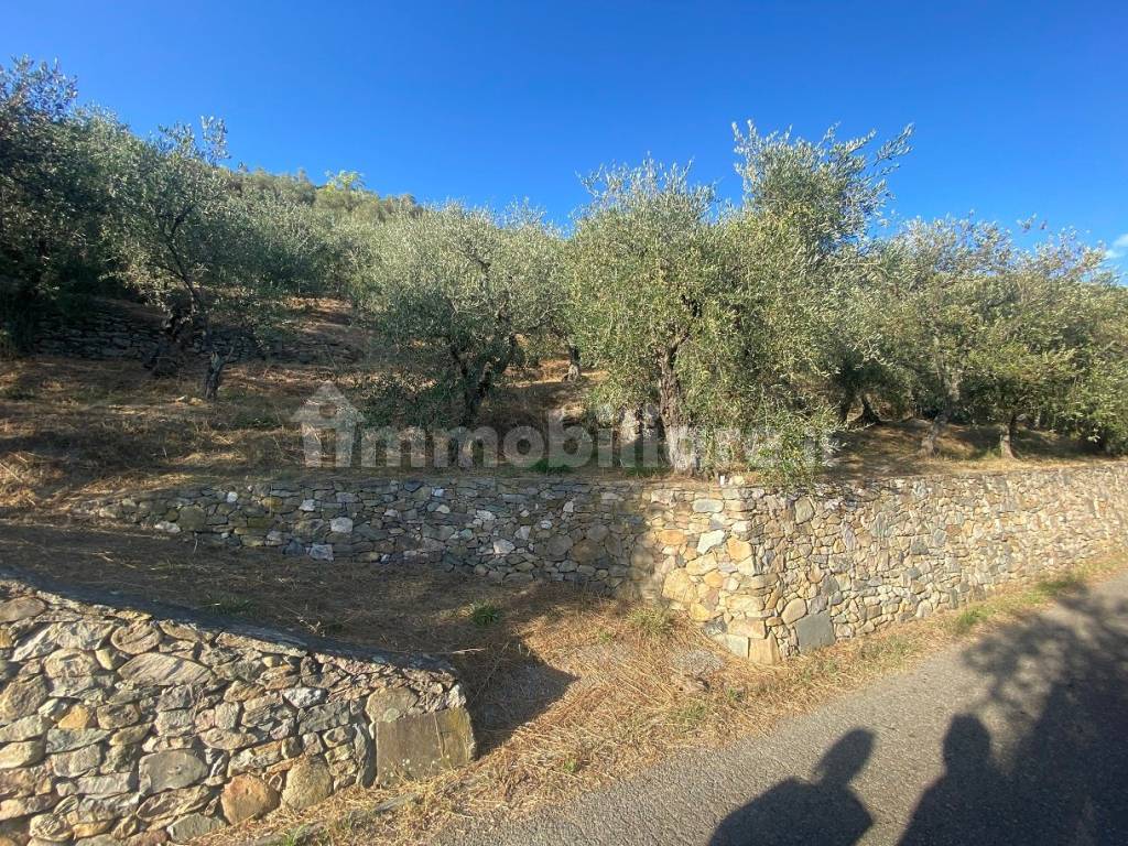 Terreno agricolo via dei Maggi Butesi, Buti, rif. 106642003 ...