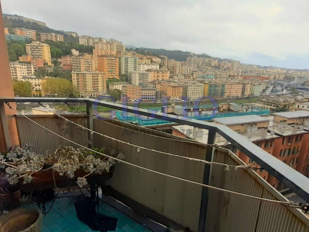 Affitto Appartamento Genova. Quadrilocale in via Davide Menini. Da ...