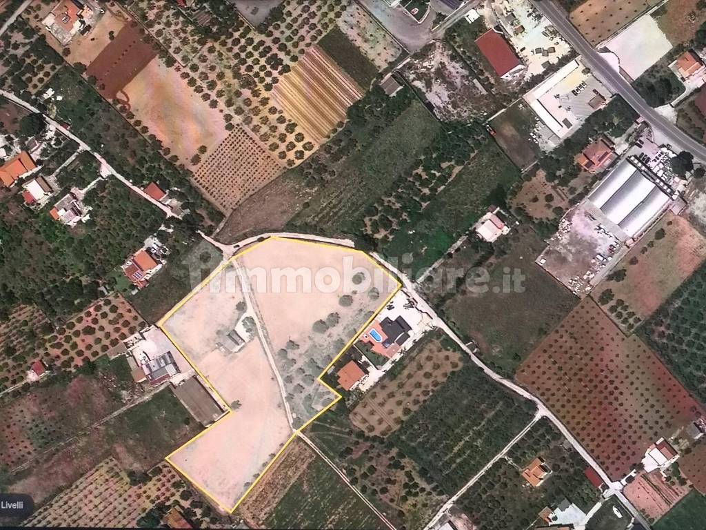 Terreno agricolo, Partinico, rif. 107343411 - Immobiliare.it