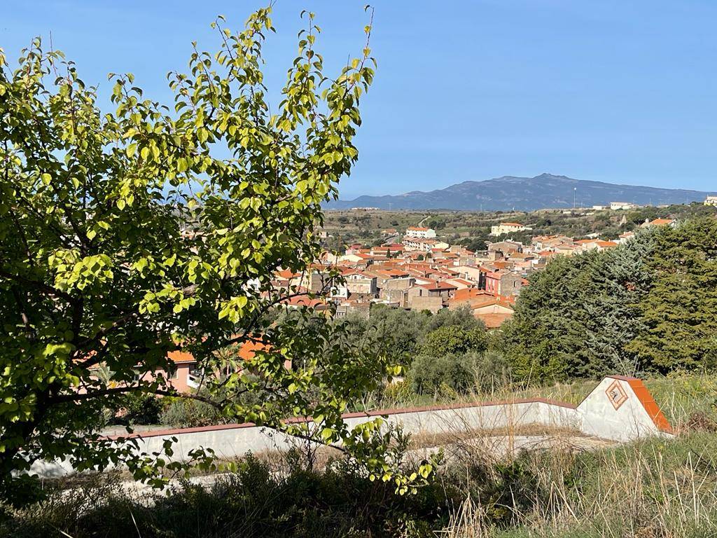 Vendita Villa unifamiliare in viale Giovanni XXIII 9A Scano di ...