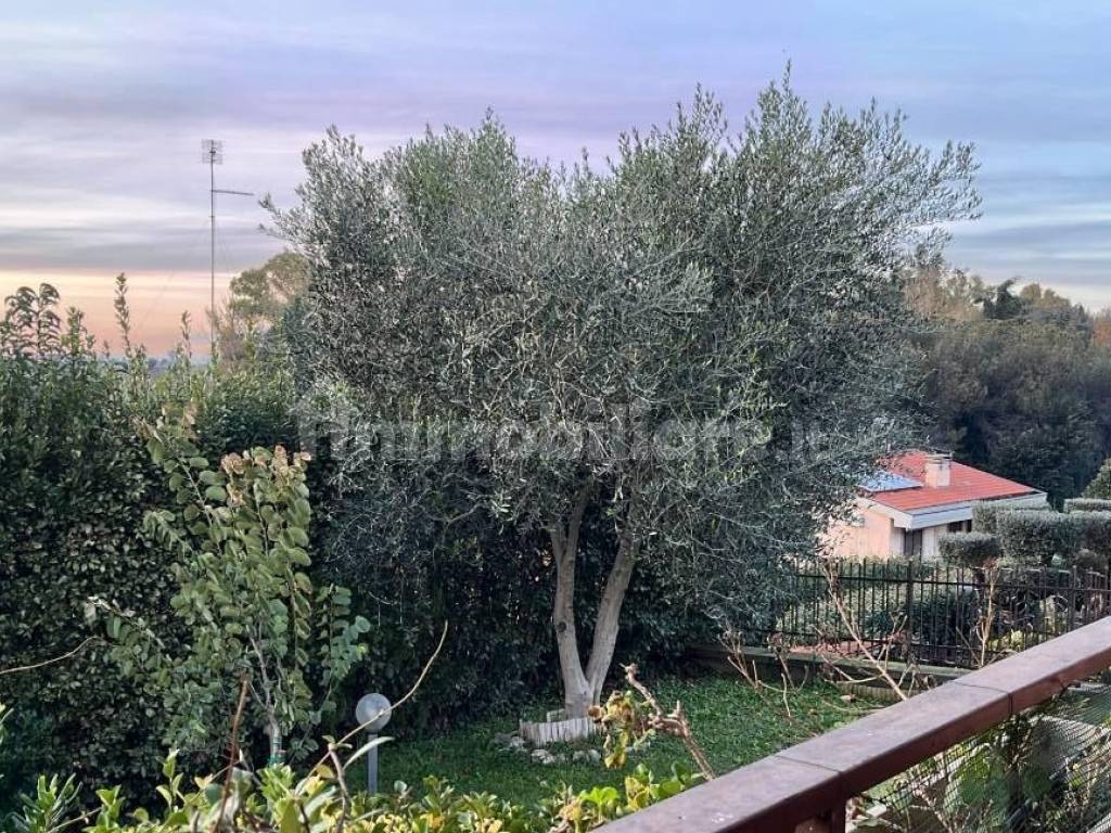 Sale Two-family villa in viale Odone Belluzzi Rome. Good condition ...