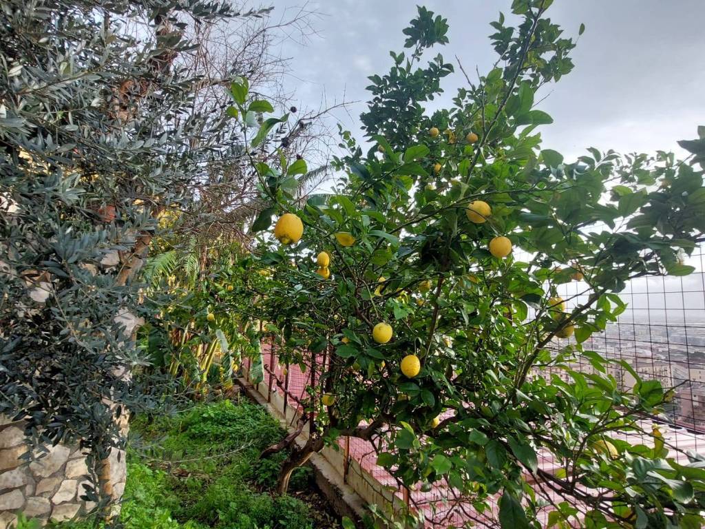 Vendita Terratetto unifamiliare in Borgo San Matteo Sarno. Da ...