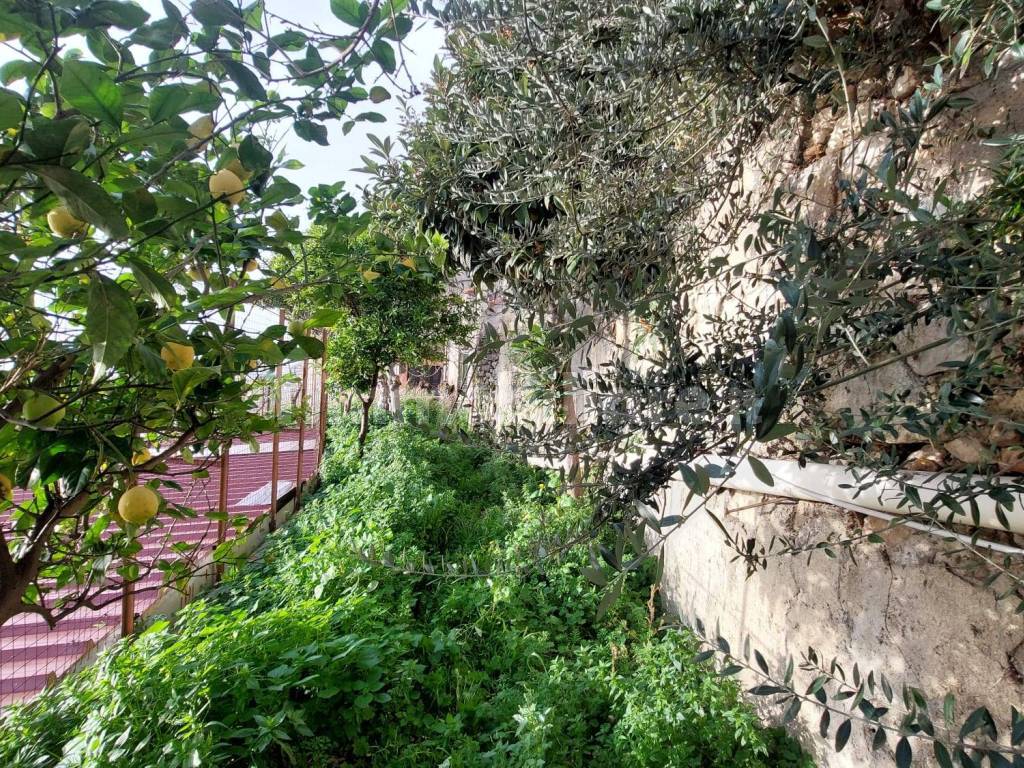 Vendita Terratetto unifamiliare in Borgo San Matteo Sarno. Da ...