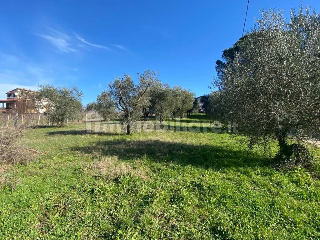 Terreno agricolo via Colle Persico, Zagarolo, rif. 109259683 ...