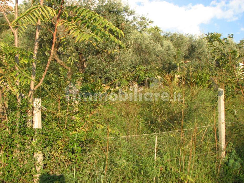 Terreno edificabile Contrada San Procopio Colongi, Amantea, rif ...