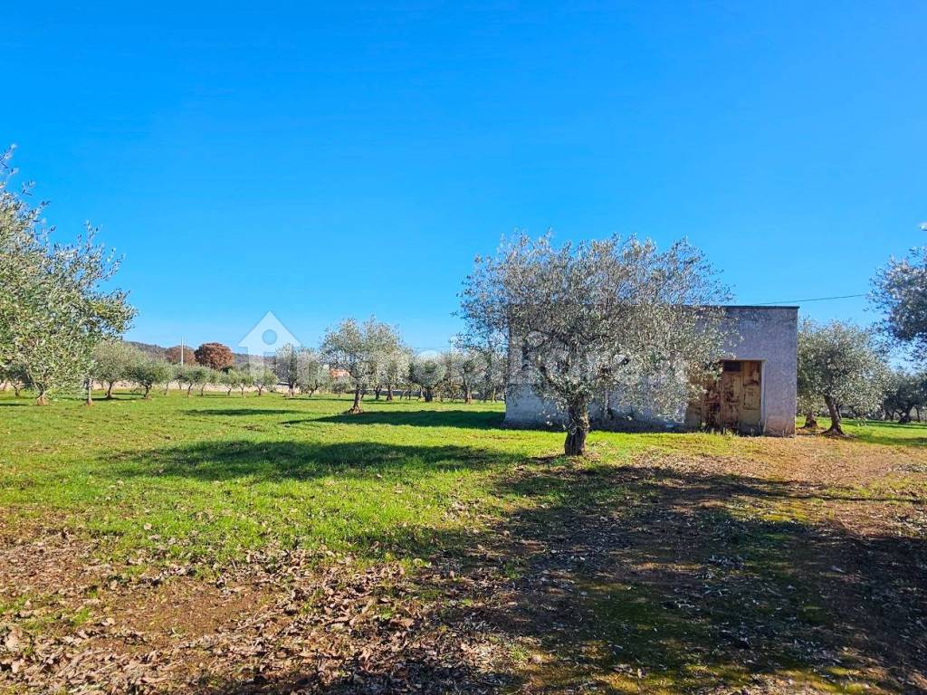 Magazzino - Deposito Strada Comunale Cucumo, Castellana Grotte, Rif ...