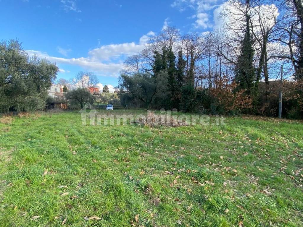 Vendita Rustico in via Colle Villa Zagarolo. Da ristrutturare, 23 m² ...