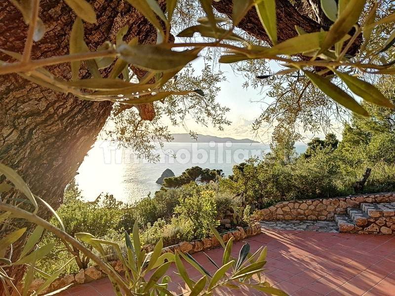 Affitto Rustico Monte Argentario. Ottimo stato, posto auto, 45 m², rif ...