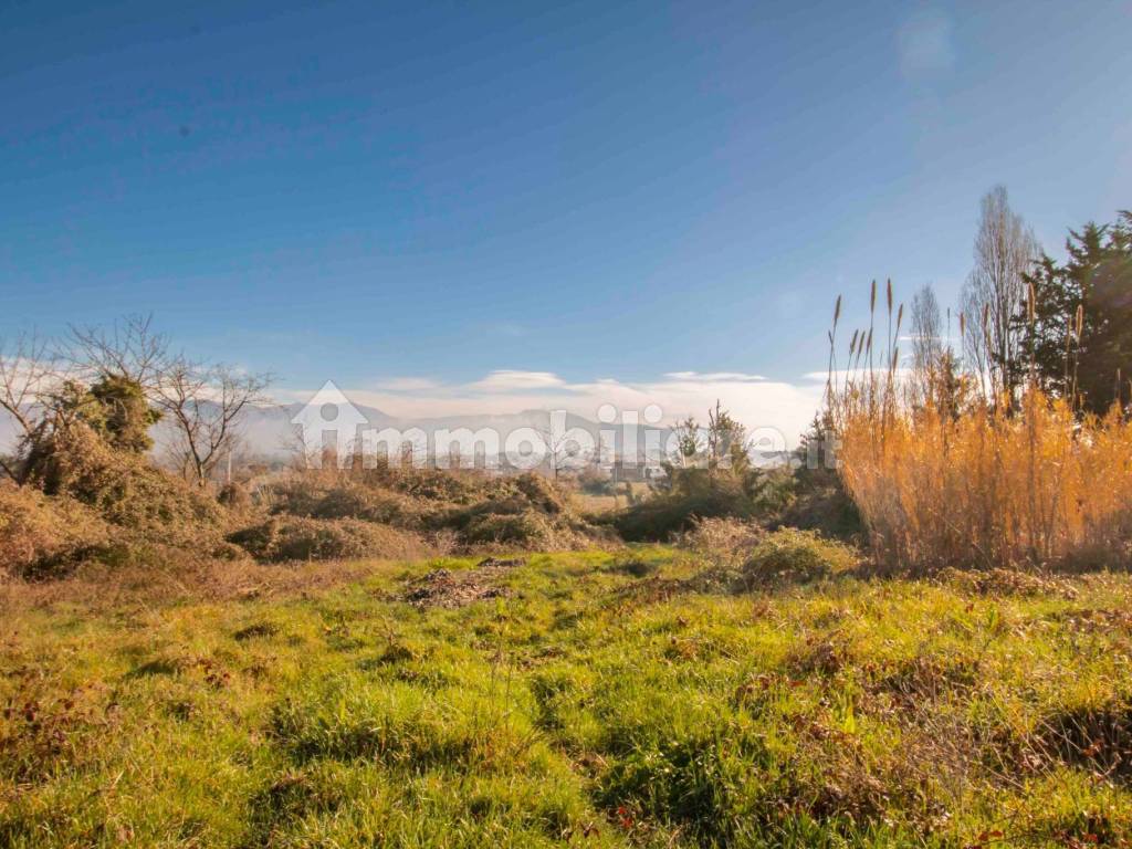 Terreno edificabile via Colle Savelli, Zagarolo, rif. 109717419 ...