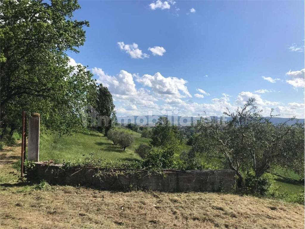 Terreno agricolo Dono Doni, 42-1, Assisi, rif. 109927159 - Immobiliare.it