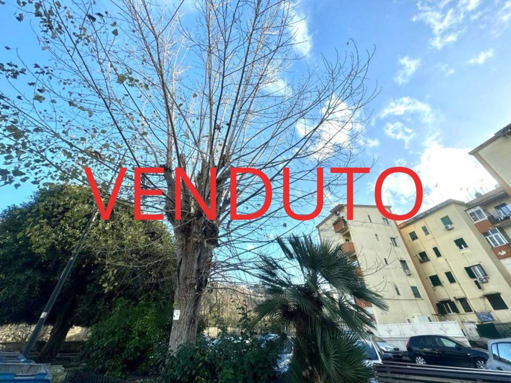 Vendita Appartamento Napoli. Trilocale in via Carnaro. Buono stato ...