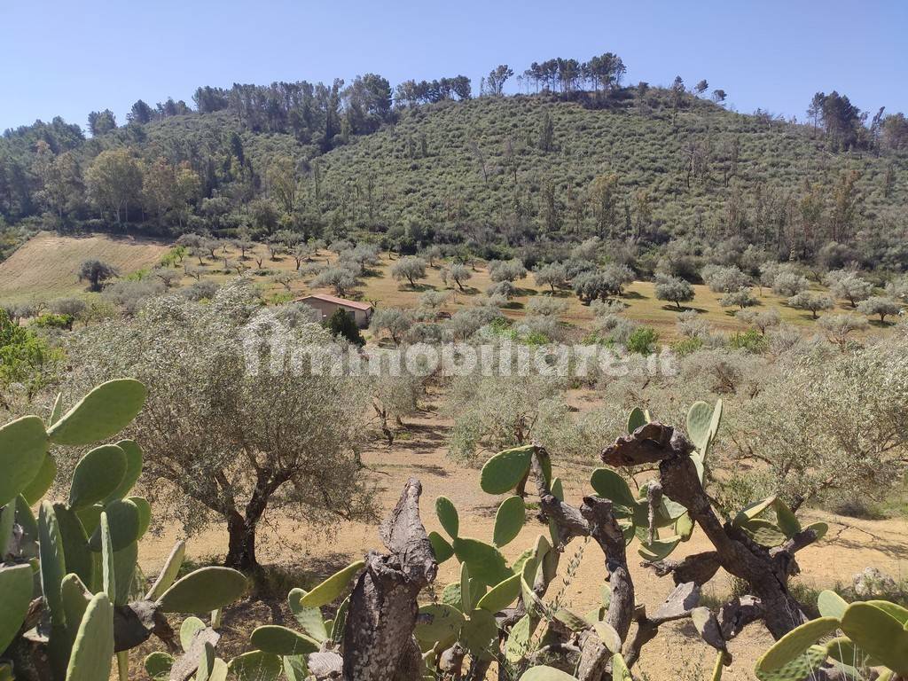 Terreno agricolo Strada Vicinale Cava Imboscata, Caltagirone, rif ...