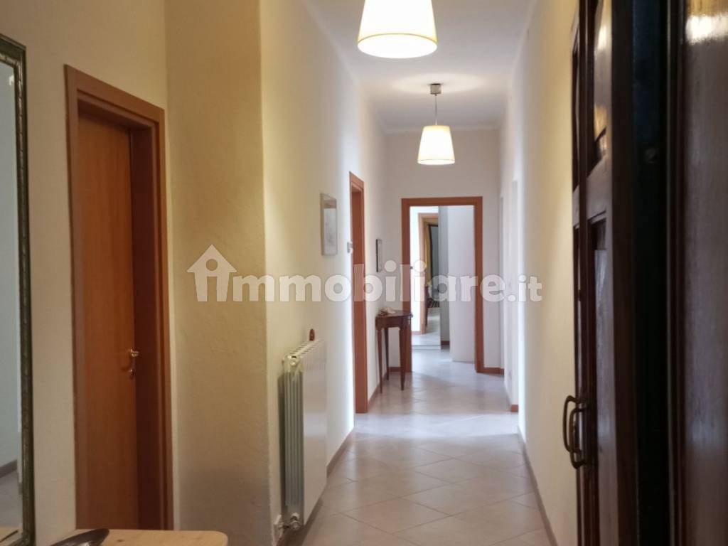 Stanza singola in affitto, affittasi camera singola viale Andrea Palladio 5 Stadio Verona