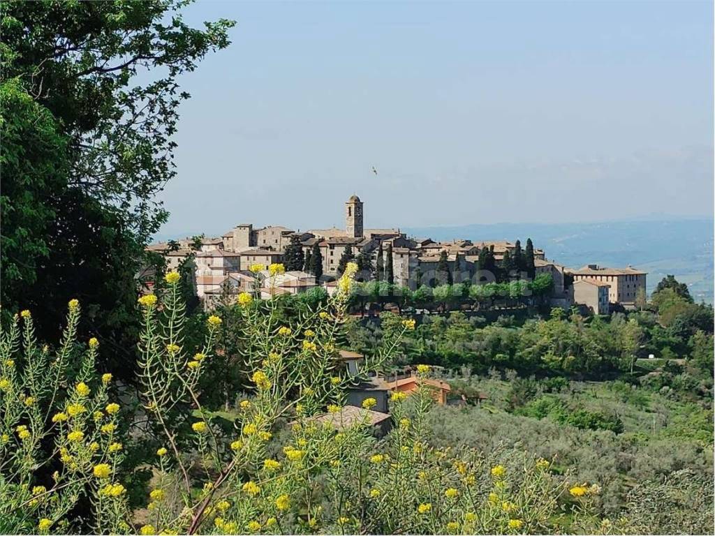 Vendita Appartamento Montecchio. Trilocale, Da ristrutturare, rif ...