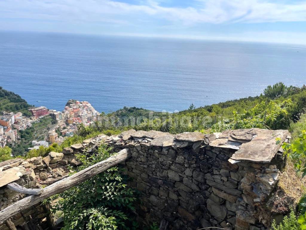 Vendita Rustico in Sp59 Riomaggiore. Da ristrutturare, 28 m², rif ...