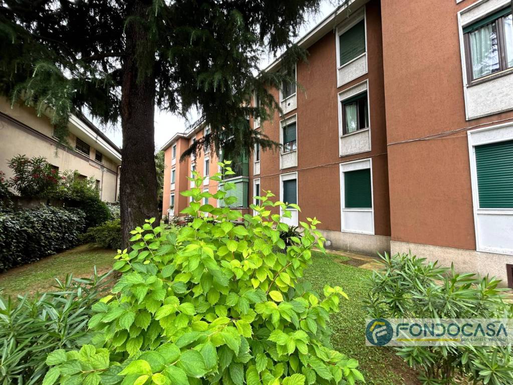 Vendita Appartamento Meda. Trilocale in via Dei Cipressi. Ottimo stato ...