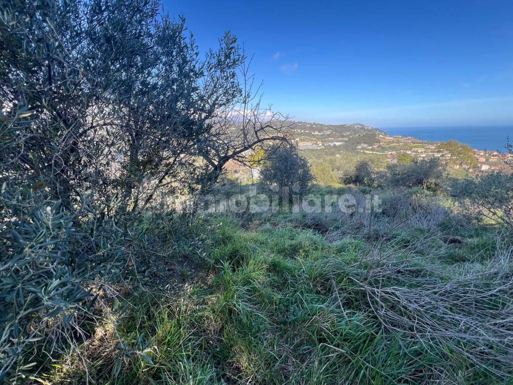 Terreno agricolo regione Di Torre del Poggio, Costarainera, rif ...