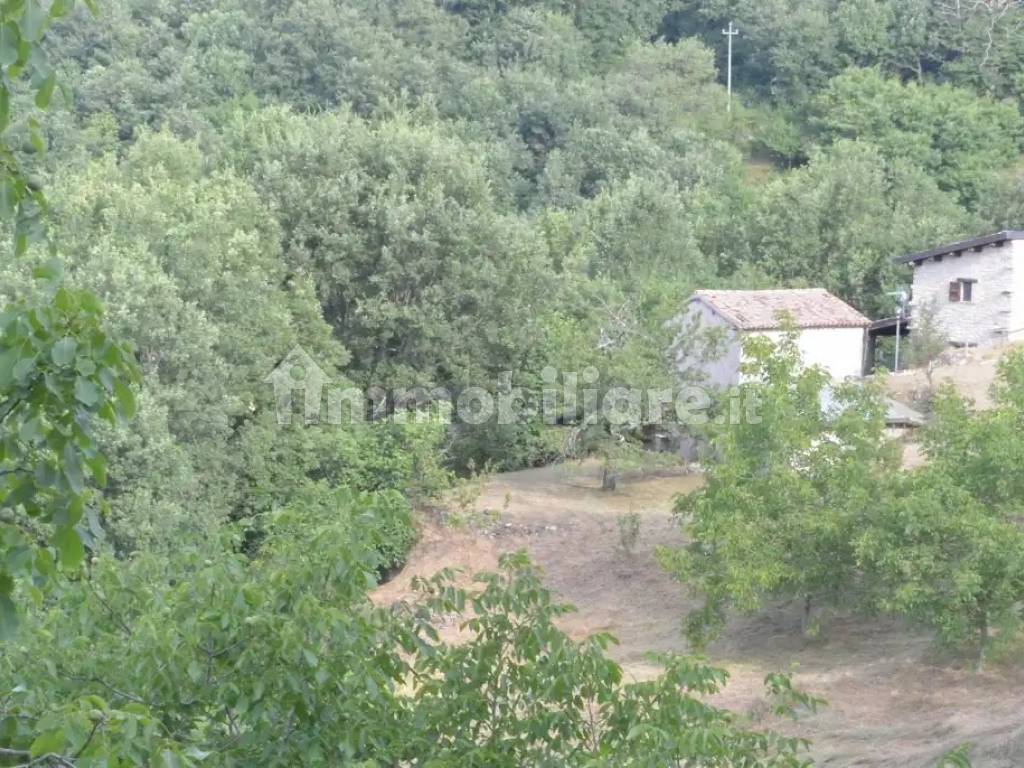 Vendita Casale in Strada Comunale Collalto Nespolo Collalto Sabino. 60 ...