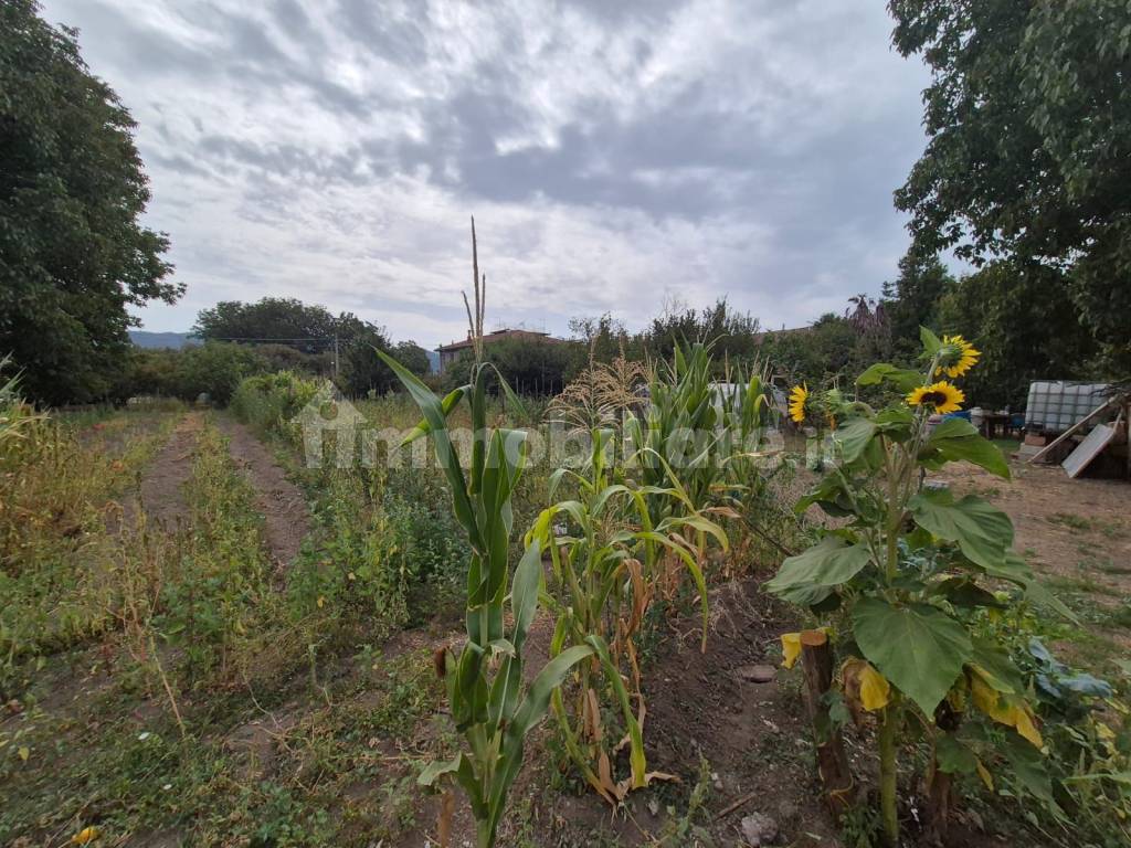 Terreno agricolo via Forno, Forino, rif. 113994287 - Immobiliare.it
