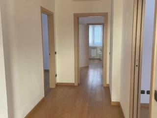 Case in affitto Pavia - Immobiliare.it