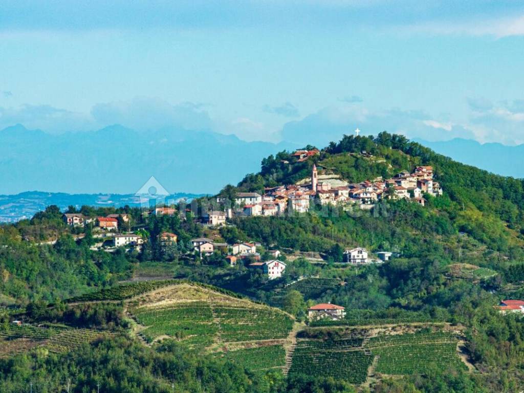 Agricultural land Strada Privinciale Ovada-Gavi, Parodi Ligure, ref ...