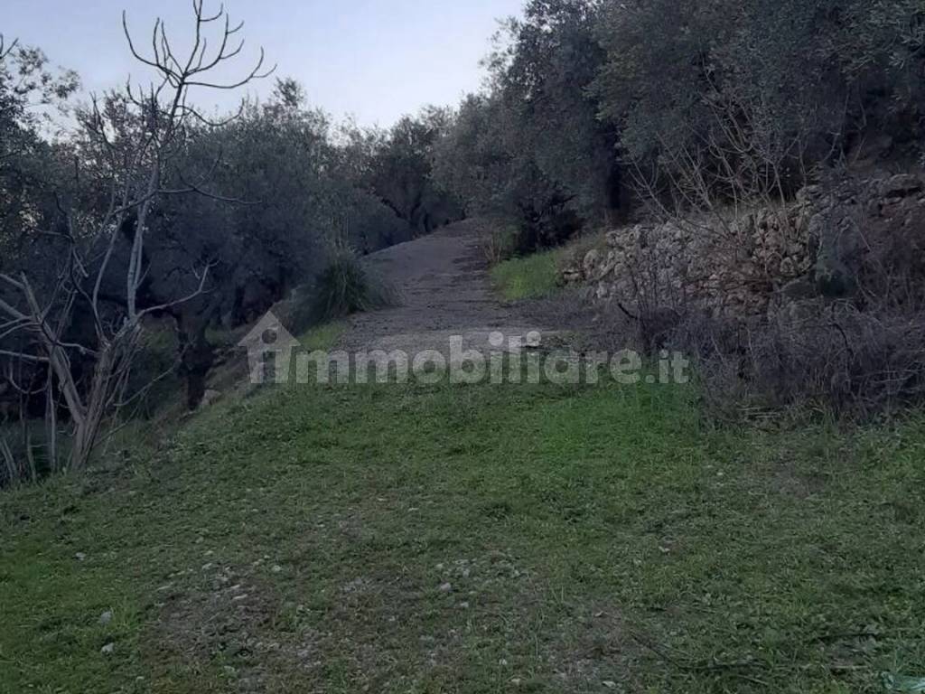 Terreno non edificabile via Appia, Itri, rif. 115384841 - Immobiliare.it