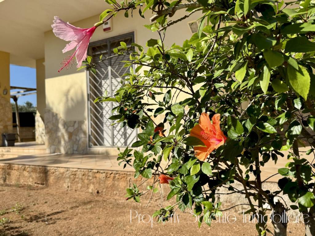 Vendita Villa unifamiliare in Strada Vicinale Pacci o Olive Amare ...