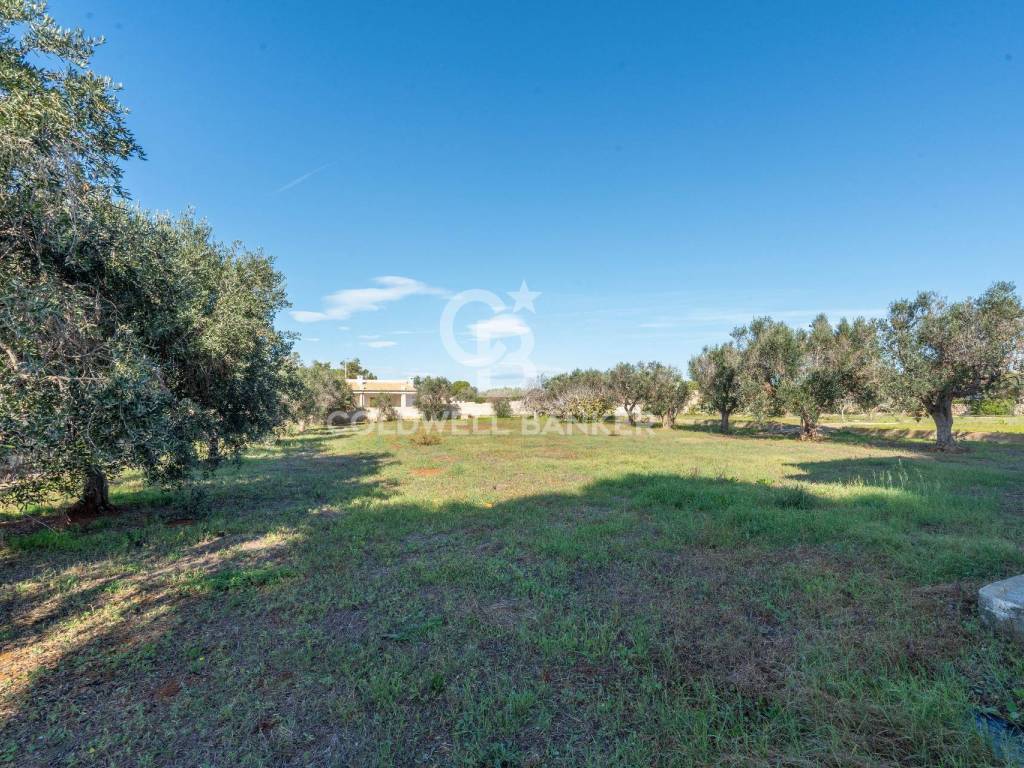 Vendita Villa unifamiliare in Contrada Michele Gioia Racale. Buono ...