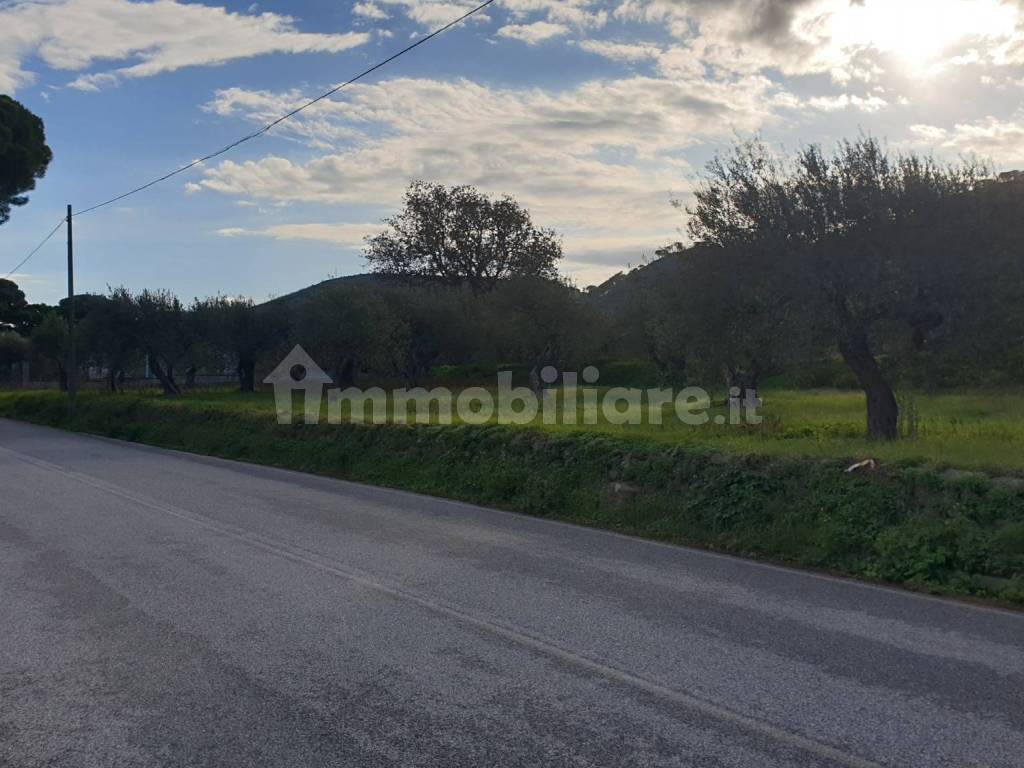 Terreno agricolo Strada Statale Spartà, Messina, rif. 117023127 ...