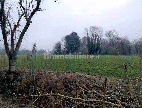Asta per terreno agricolo, Accesso dalla strada comunale via San Rocco ...