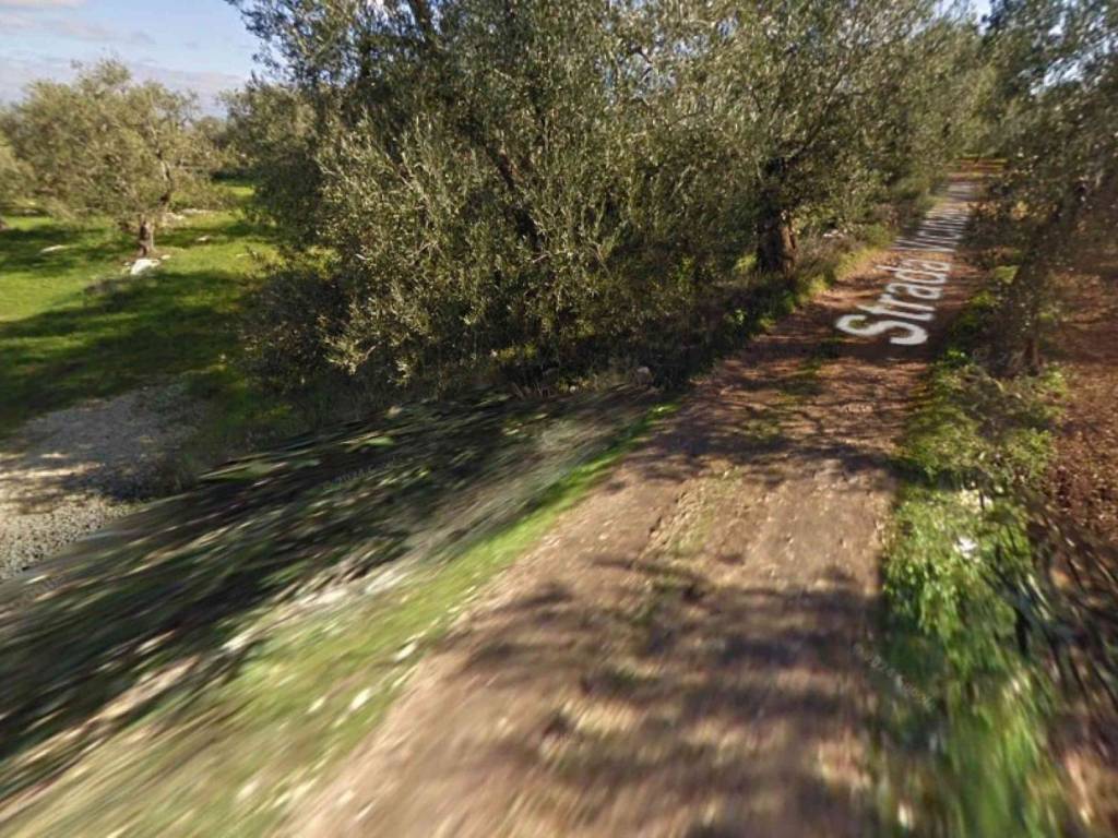 Asta per terreno agricolo, Strada Vicinale Votano Toritto, rif ...