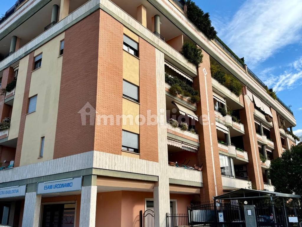 Vendita Appartamento Latina. Trilocale in via Milazzo 95. Ottimo stato ...