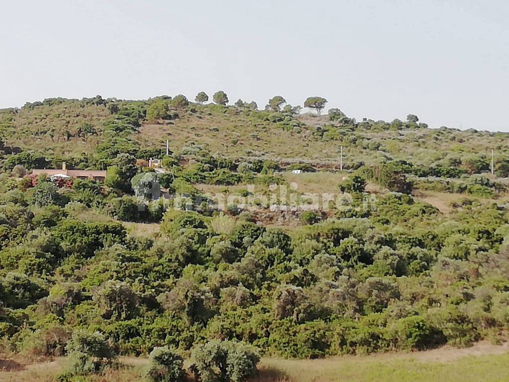 Terreno agricolo via Li Russi, Castelsardo, rif. 117747227 - Immobiliare.it