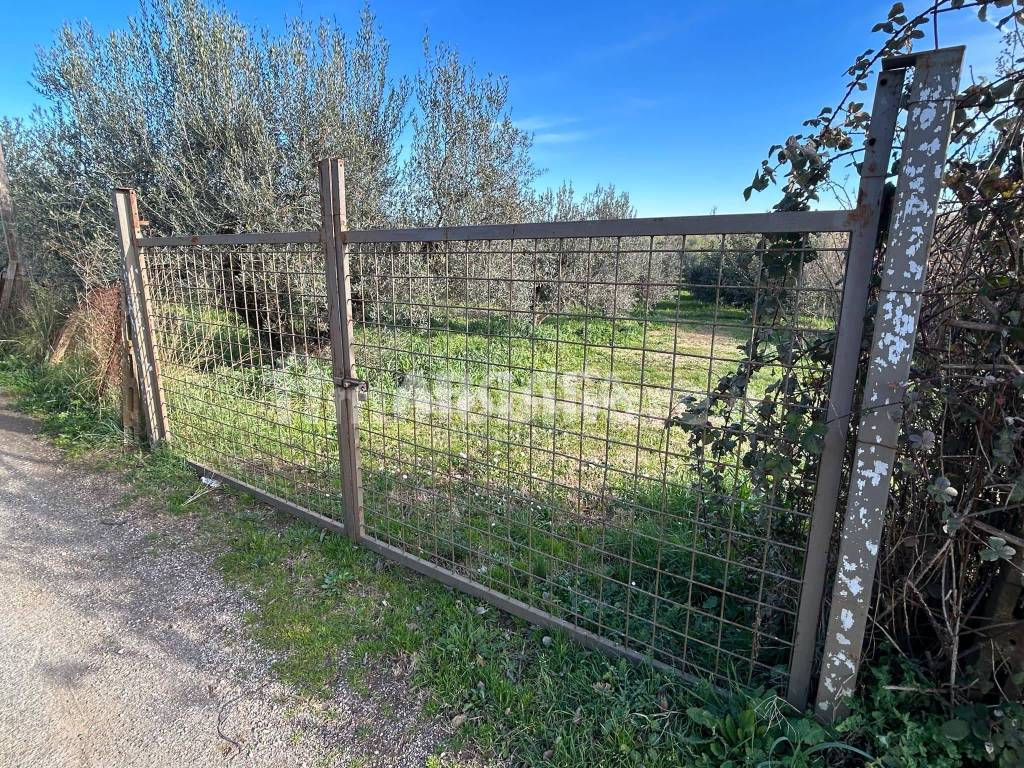 Terreno agricolo via Vigne Nuove, Genzano di Roma, rif. 118115709 ...