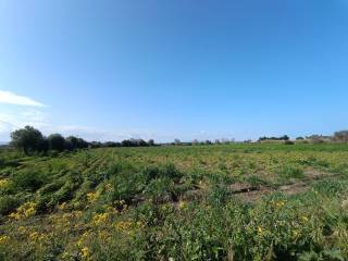 Terrains à vendre à Fanusa, Terrauzza, Punta Milocca - Siracusa ...