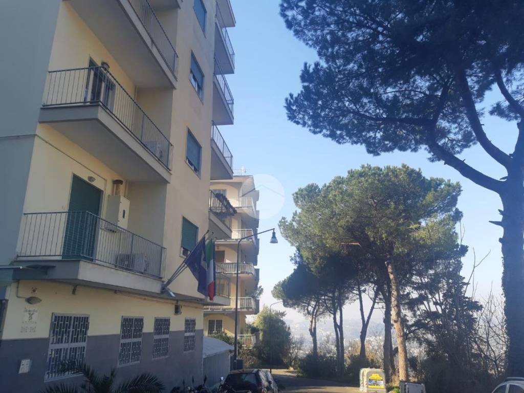 Affitto Appartamento Napoli. Bilocale in via de Bonis Giovanni Generale ...