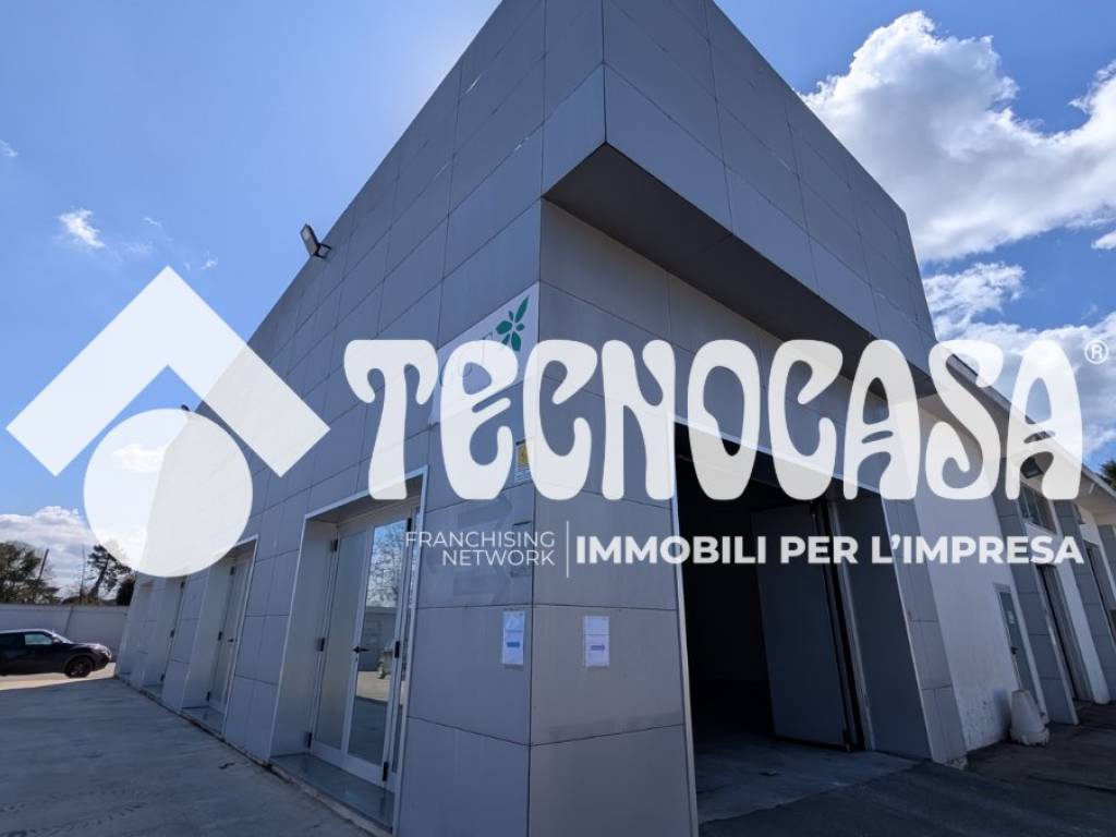 Capannone via Pontina Vecchia 33, Pomezia, Rif. 119373195 - Immobiliare.it