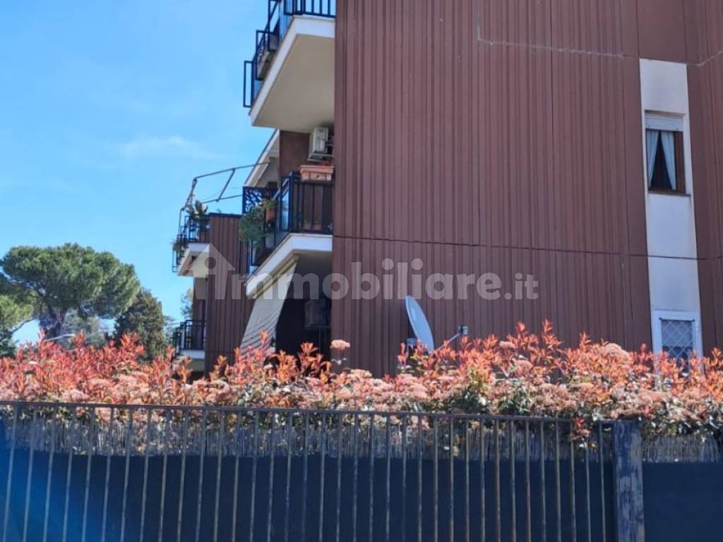 Stanza singola in affitto, affittasi camera singola via Gravina di ...