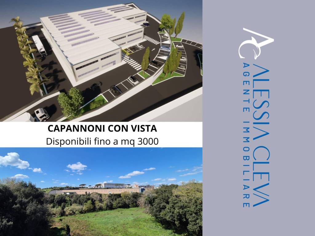 Capannone via Pontina, Pomezia, Rif. 119638320 - Immobiliare.it