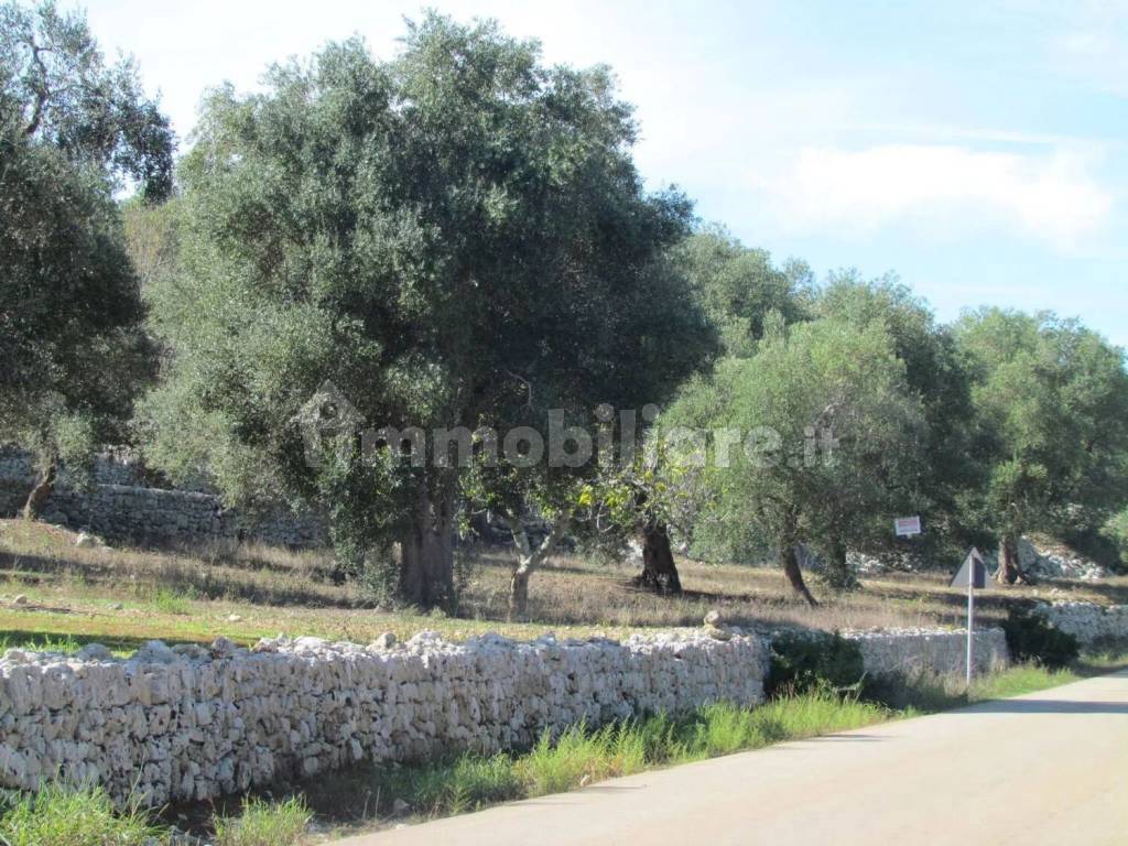Terreno non edificabile Strada Vicinale Fani, 145, Salve, rif ...