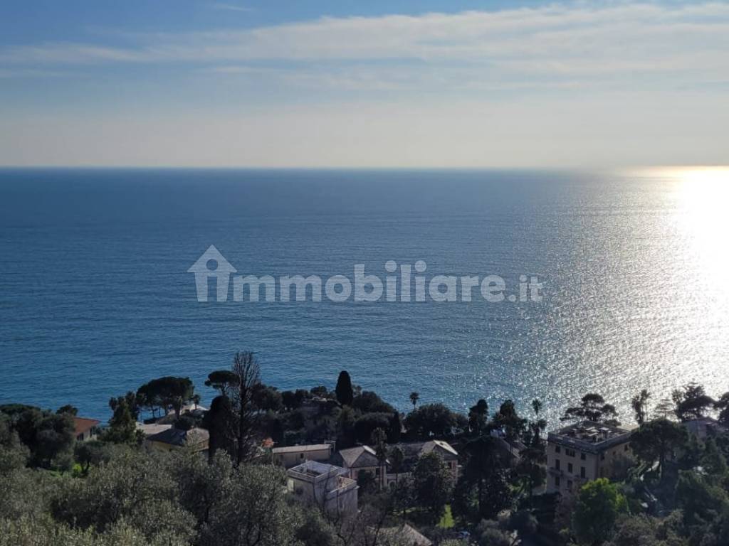 Vendita Villa a schiera in via Besso Pieve Ligure. Da ristrutturare ...