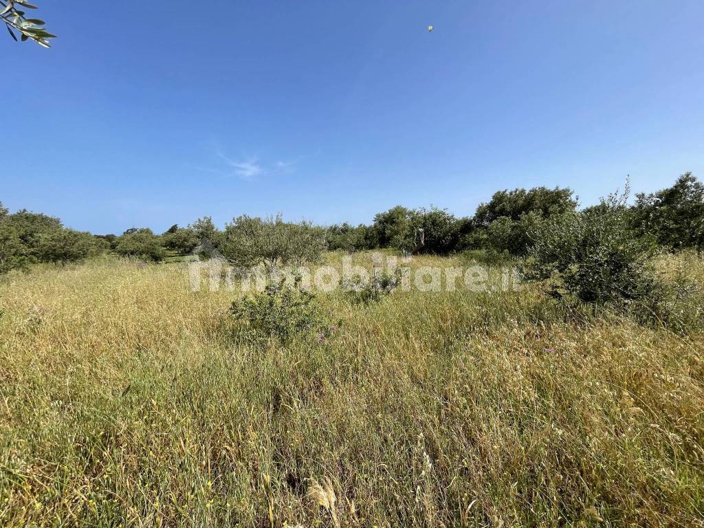 Terreno agricolo Piano Torre Spartà, Messina, rif. 120206116 ...