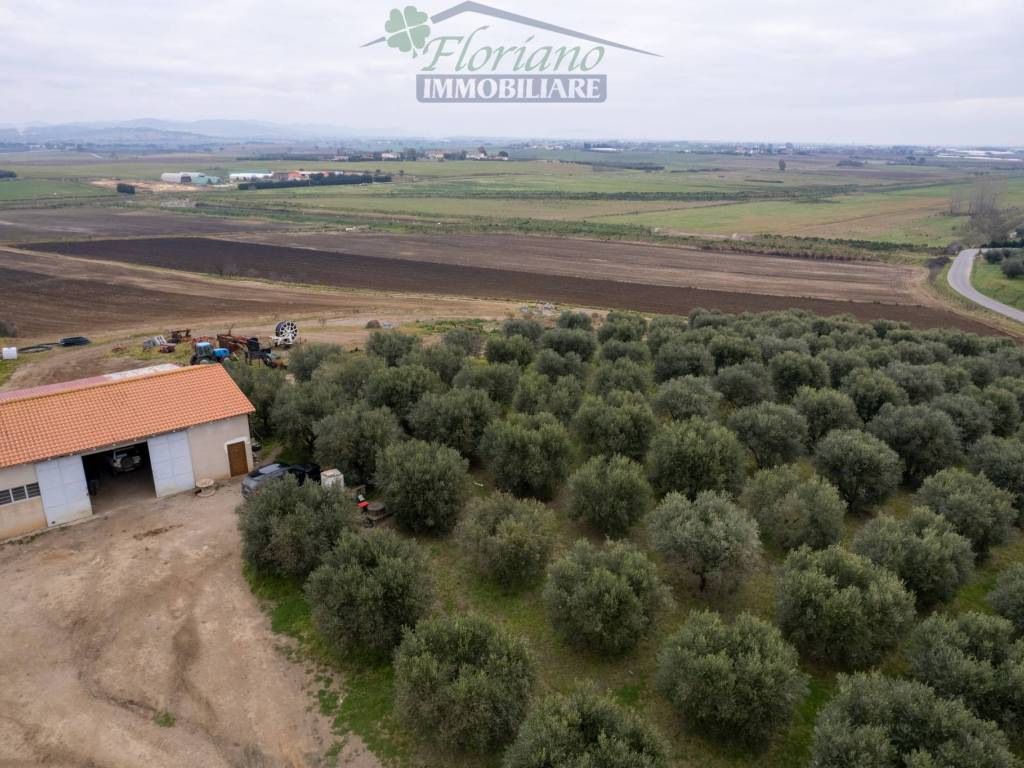 Vendita Rustico in Località Chiarone Scalo Capalbio. Da ristrutturare ...