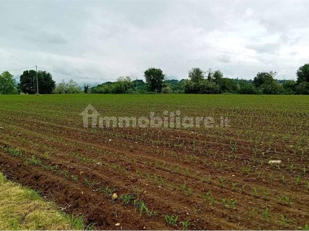 Terreno agricolo, Cantù, rif. 120435476 - Immobiliare.it