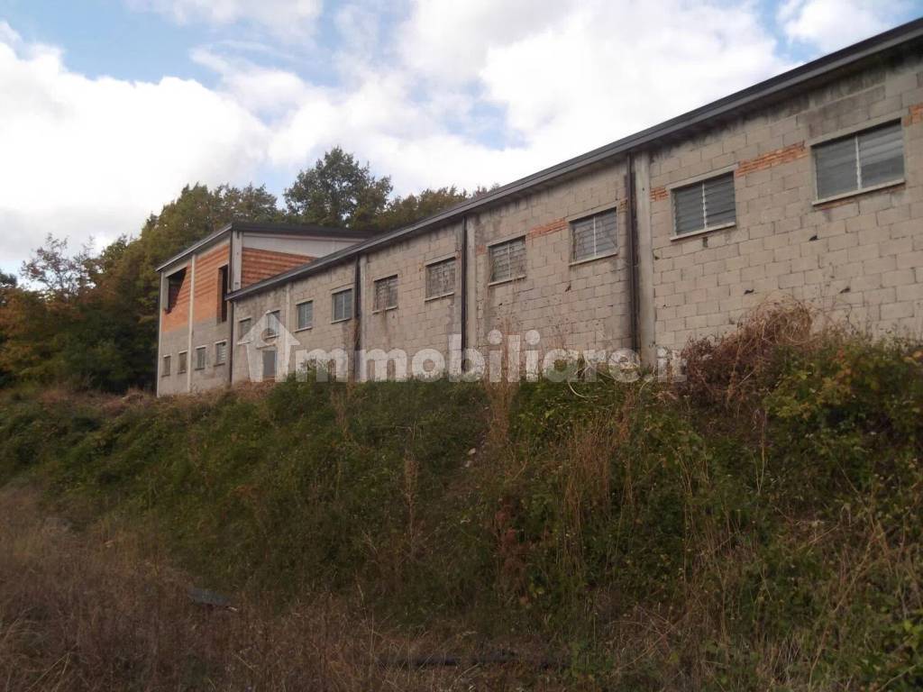 Capannone via Costabona San C., Villa Minozzo, Rif. 120464504 ...