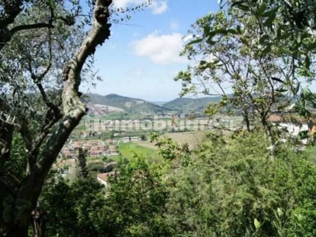 Vendita Cascina Vecchiano. Buono stato, 800 m², rif. 120749278