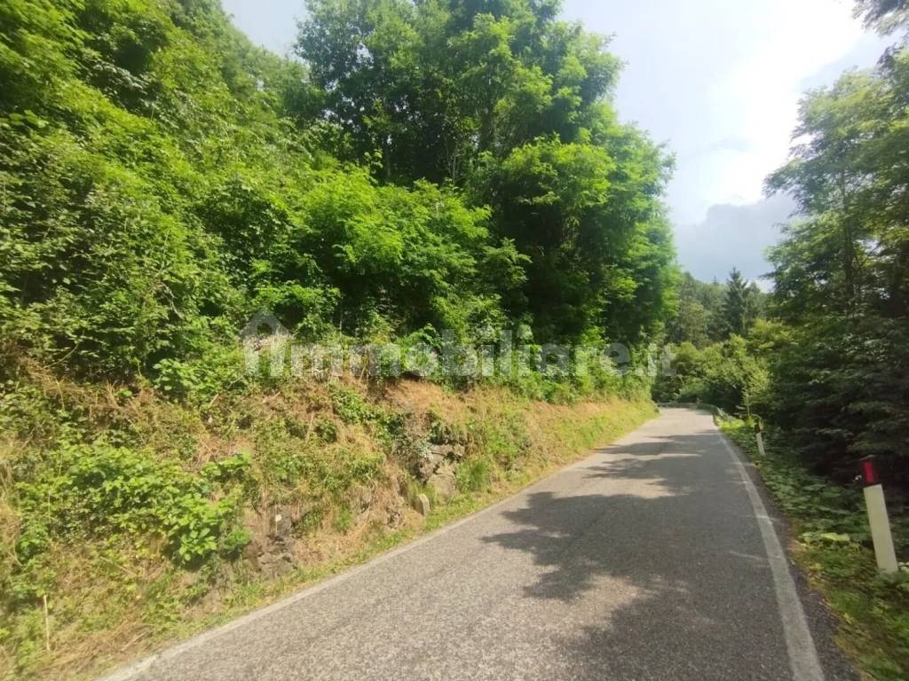 Terreno non edificabile Strada Provinciale 50, Pertica Alta, rif ...