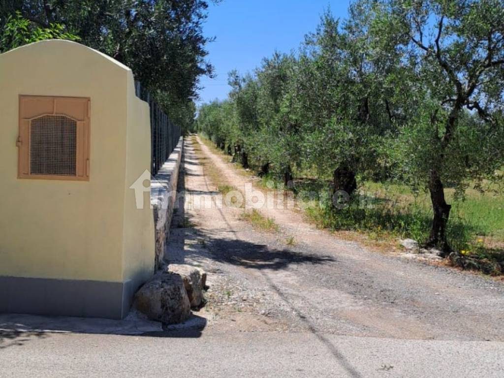 Terreno agricolo Strada Vicinale Carrare, Molfetta, rif. 121079786 ...